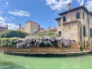 Venetian gardens: why gardens in Venice are secret and unique - SeeVenice